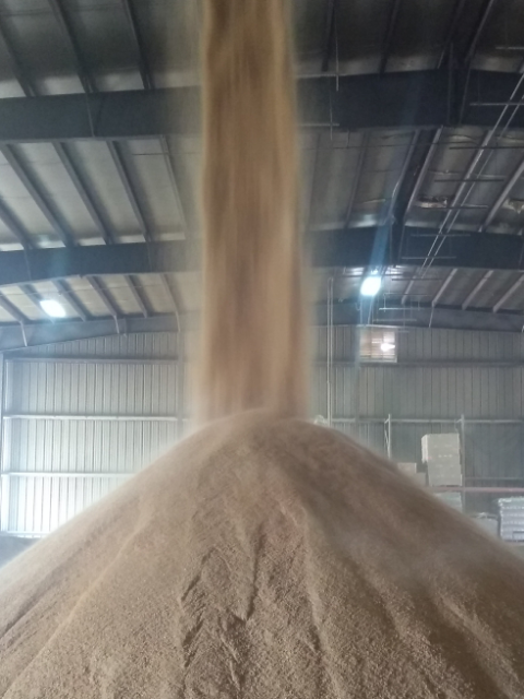 FSMA and Feed - Renewal Processing